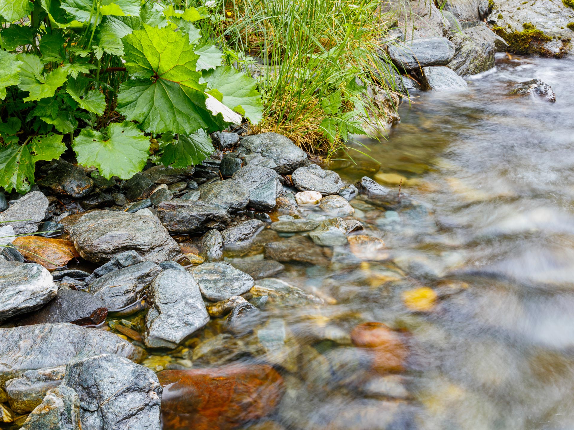 Get your business site recognised with a Biodiversity Benchmark Audit ...